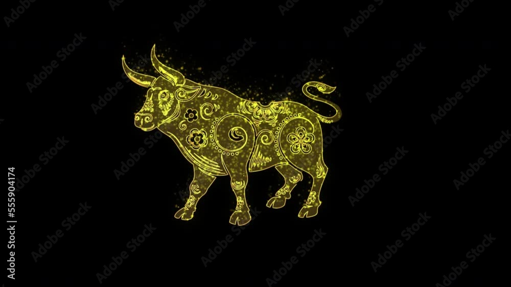 happy chinese new year celebration with golden ox loop background ...