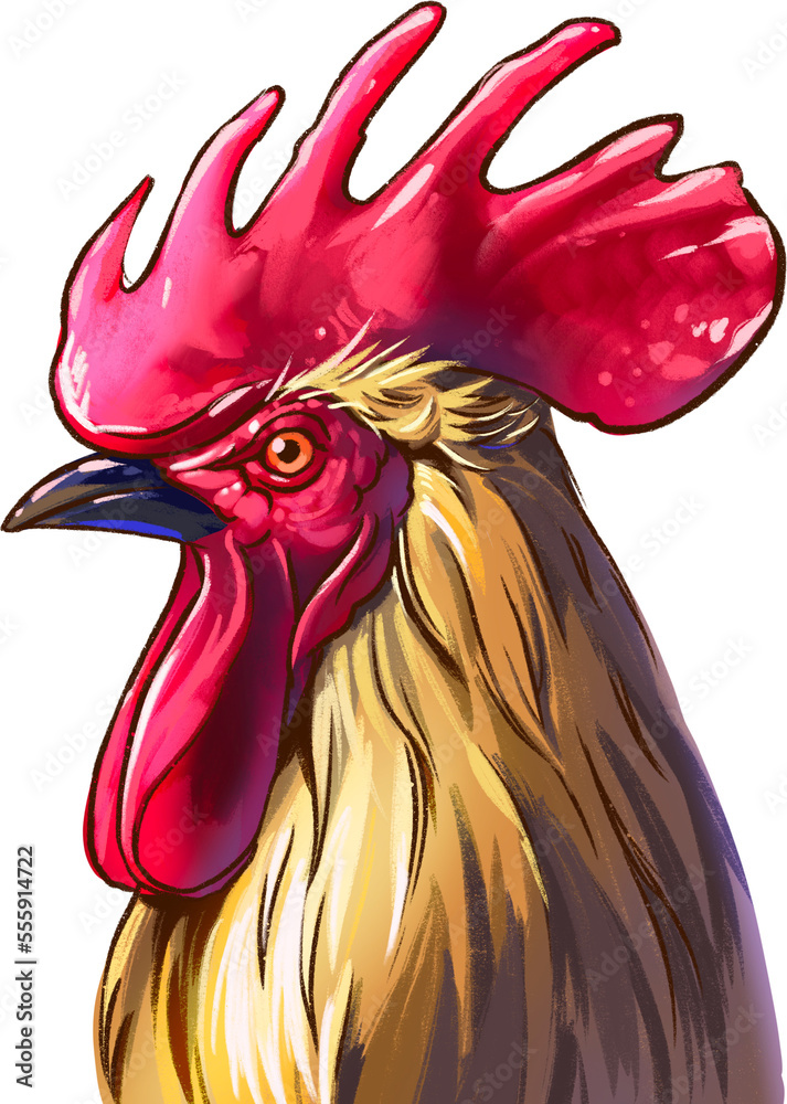 Rooster head hand drawn colorful illustration. Realistic sketch ...