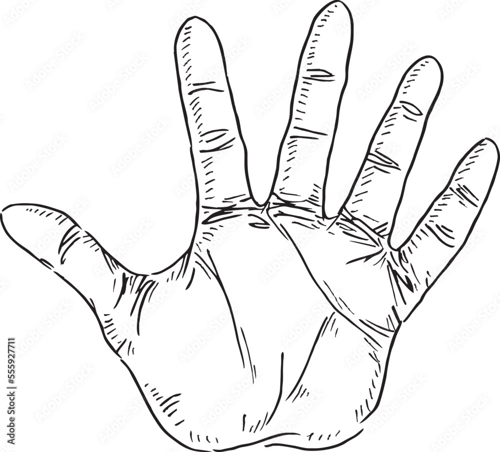 Hand Drawn Sketch of hand gesture,open palm - hand gesture Stock Vector ...