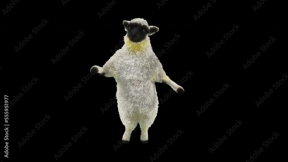 Sheep Dancing, Animal, 3d rendering, Animation Loop, cartoon, included ...