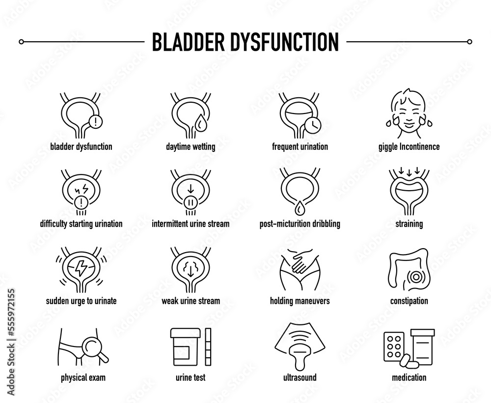 Bladder Dysfunction symptoms, diagnostic and treatment vector icon set ...
