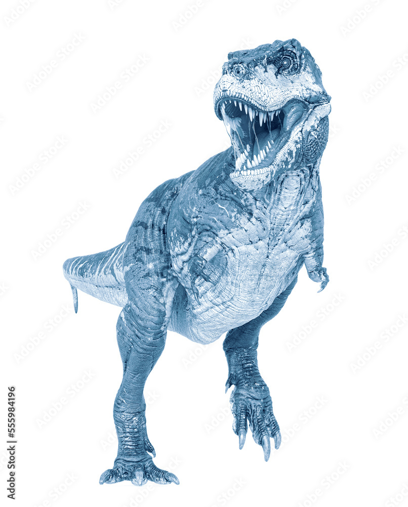 tyrannosaurus rex is standing up in white background Stock Illustration ...