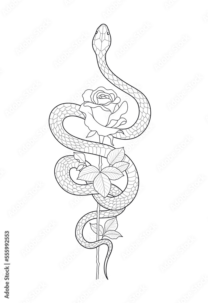 hand drawn sketch of a snake tattoo Stock Illustration | Adobe Stock
