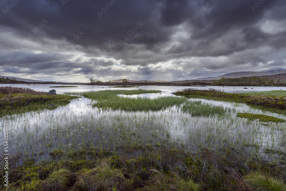 Moor landscape with lake and grassy patches and dark storm clouds at ...