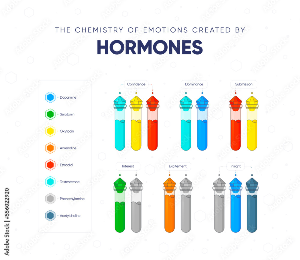 The chemistry of emotions created by hormones. Dependence of the state ...