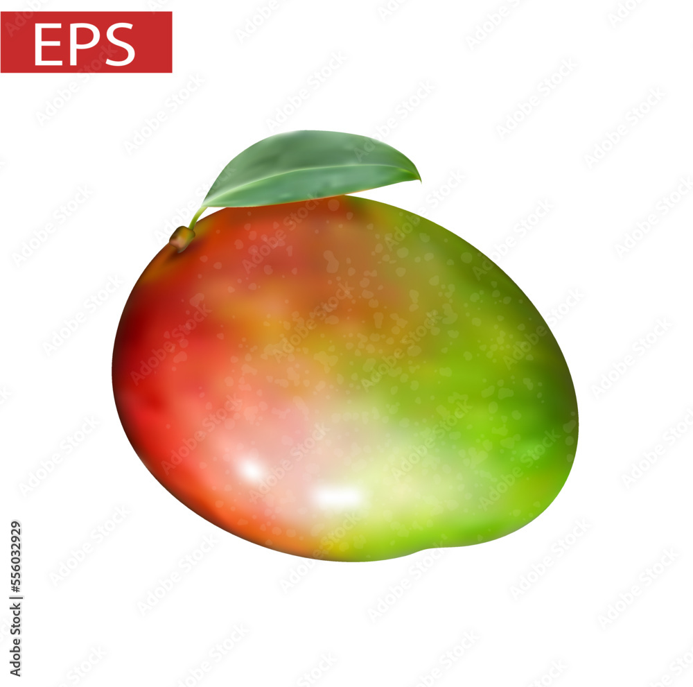 3d Mango fruit for fresh juice. Realistic red and green mango with leaf ...