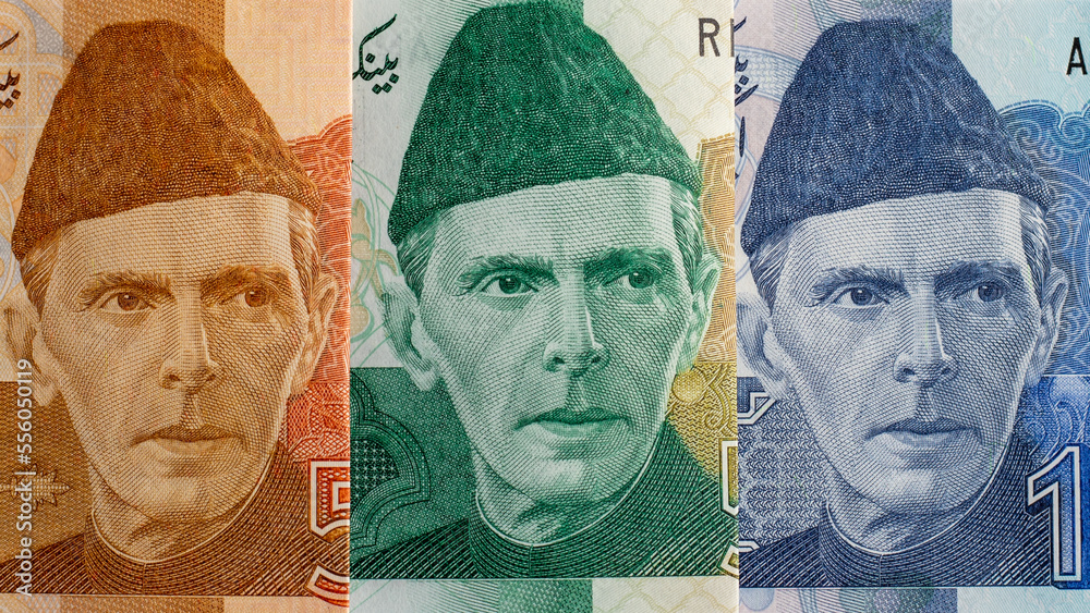 Poster The Quaid-e-Azam Muhammad Ali Jinnah portrait in Mustard, rich ...