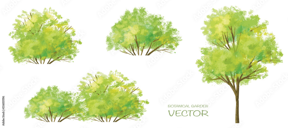 Vector watercolor green tree side view isolated on white background for ...