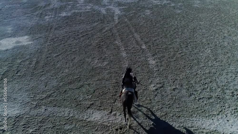 Arabian horse rider gallops through the desert Stock Video | Adobe Stock