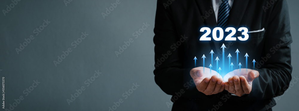 Goals, plans and vision for the new year 2023. Businessman drawing ...