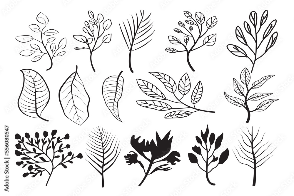 Leaves line art pack, black leaves set, set of silhouettes of trees ...