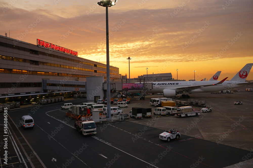 JAL Aircraft at Haneda Airport Terminal - 羽田空港 ターミナル JAL 飛行機 Stock ...