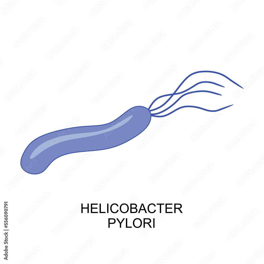 Helicobacter pylori icon. Helicobacter pylori bacterium in flat style ...