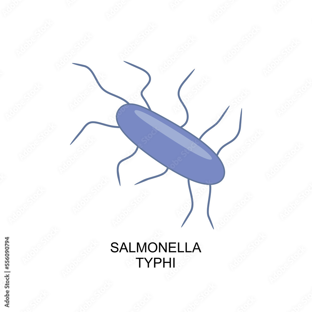 Salmonella Typhi icon. Salmonella Typhi bacterium in flat style ...