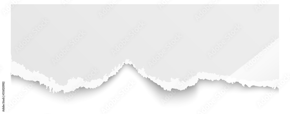 Blank white scrap with realistic paper ripped edge Stock Illustration ...