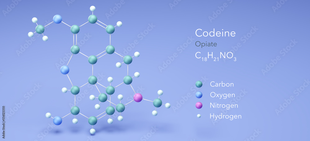 Codeine Molecular Structures Opiate 3d Model Structural Chemical