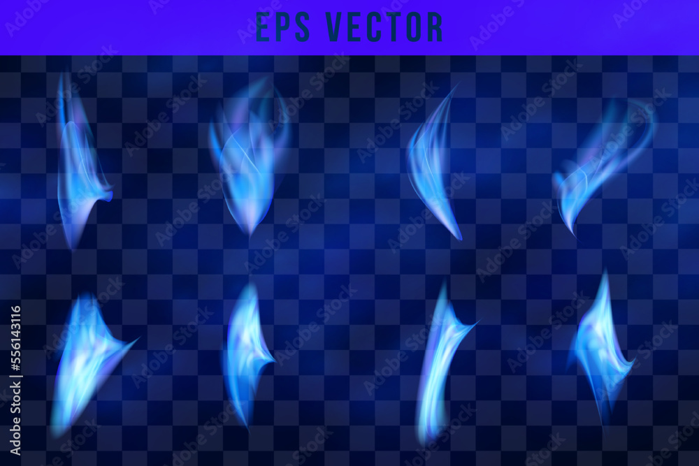 Blue fire flames realistic set of different forms and sizes on black ...