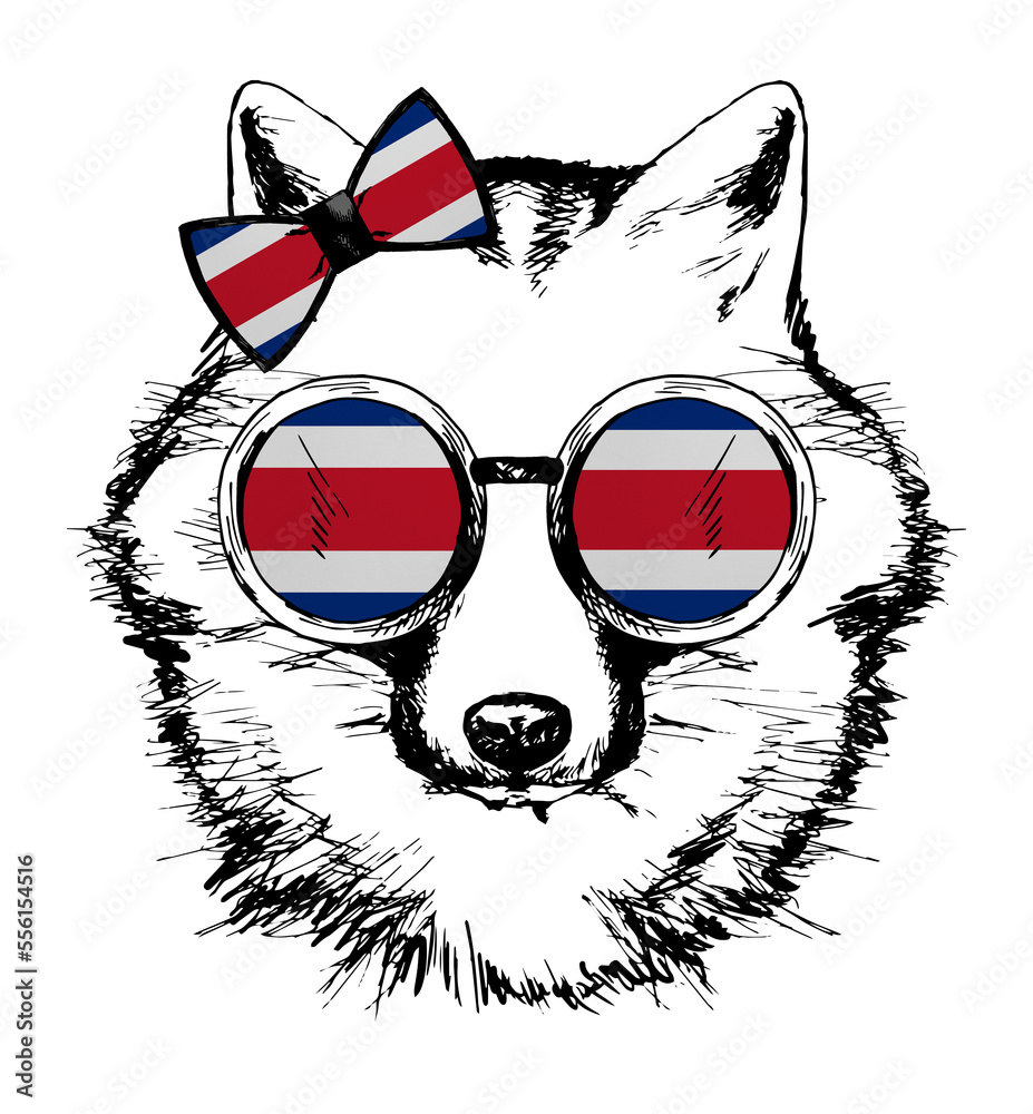Fox hand drawn portrait. Patriotic sublimation in colors of national ...