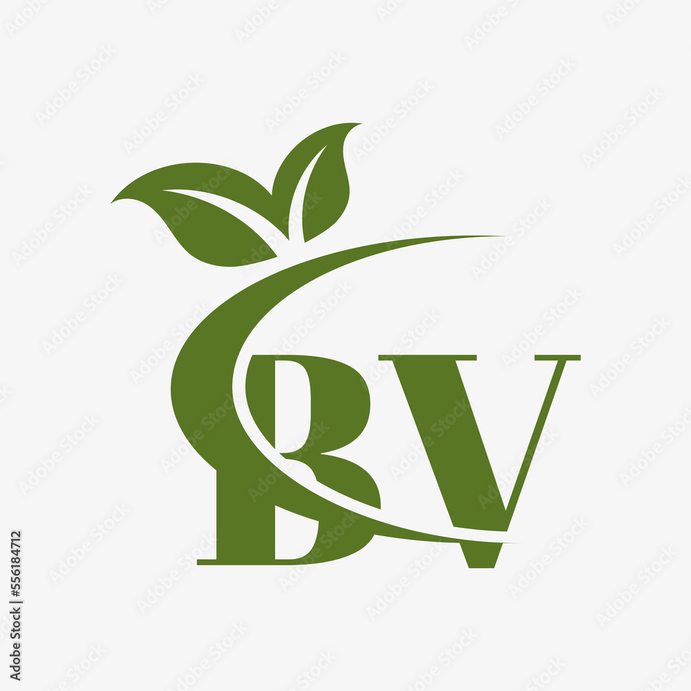 BV Letter Logo with swoosh leaves icon vector. BV creative and nature ...