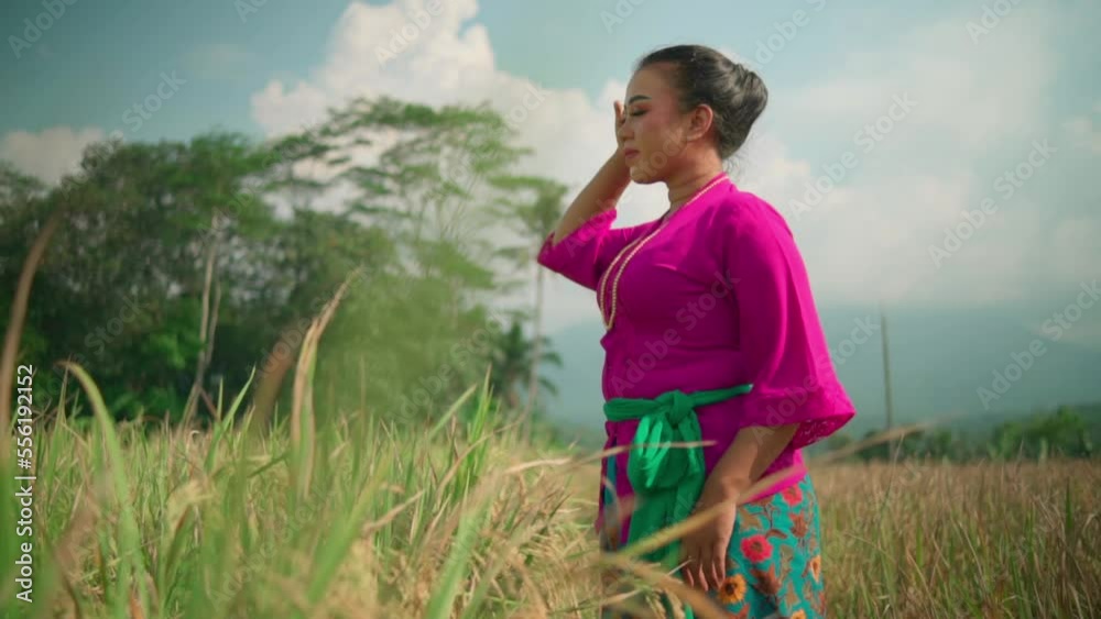 An Asian woman enjoying the view while harvesting the rice field in a ...