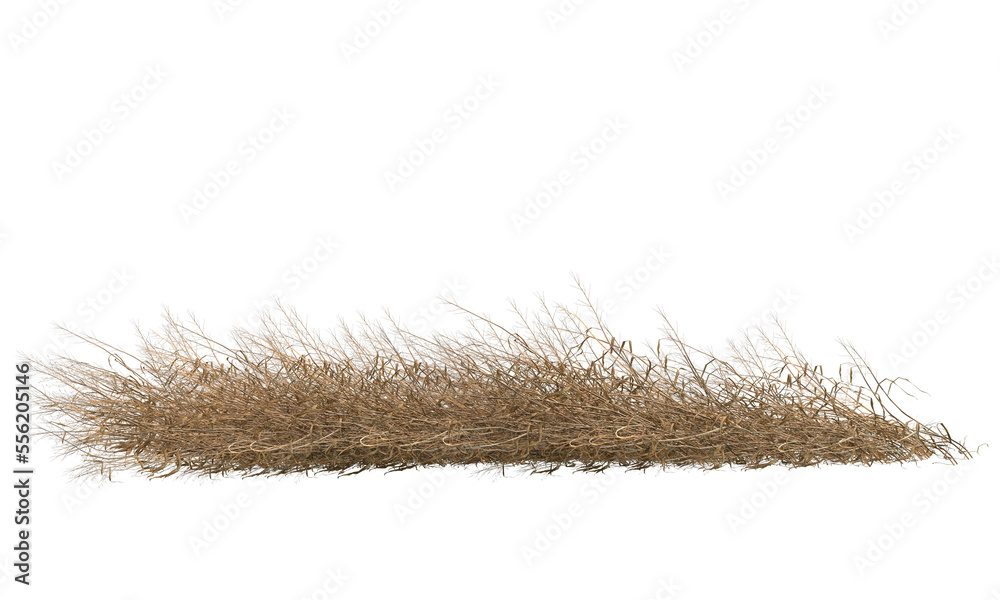Various types of dried plants grass bushes shrub and small plants ...