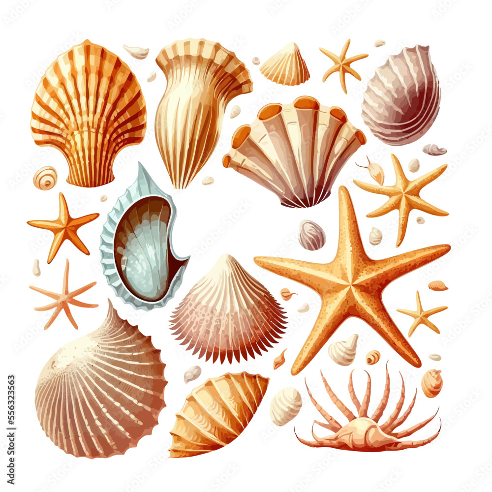 Sea shells, starfishes set. Isolated on background. Cartoon flat vector ...