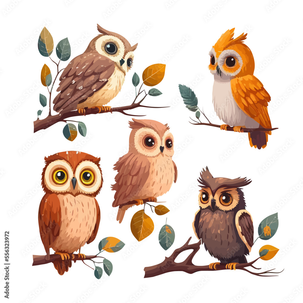 Cute owl birds set. Isolated on background. Cartoon flat vector ...