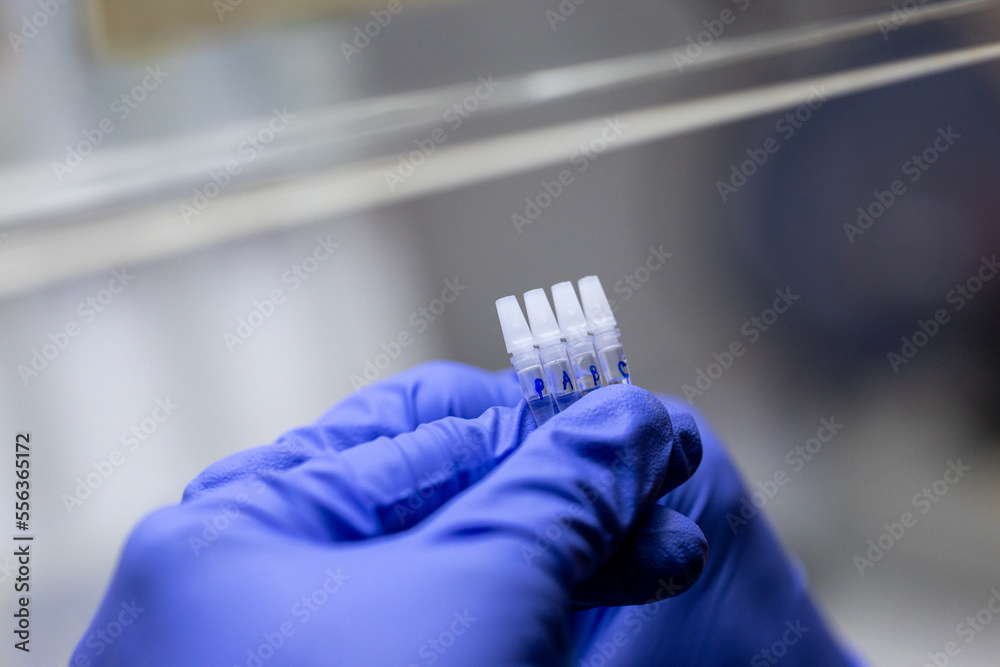 glove, cycler, lab, research, dna, segment, thermal, test, equipment ...