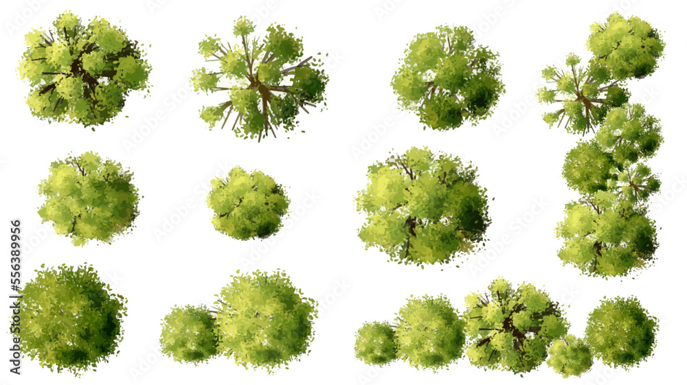 Vector watercolor of blooming tree top view isolated on white ...