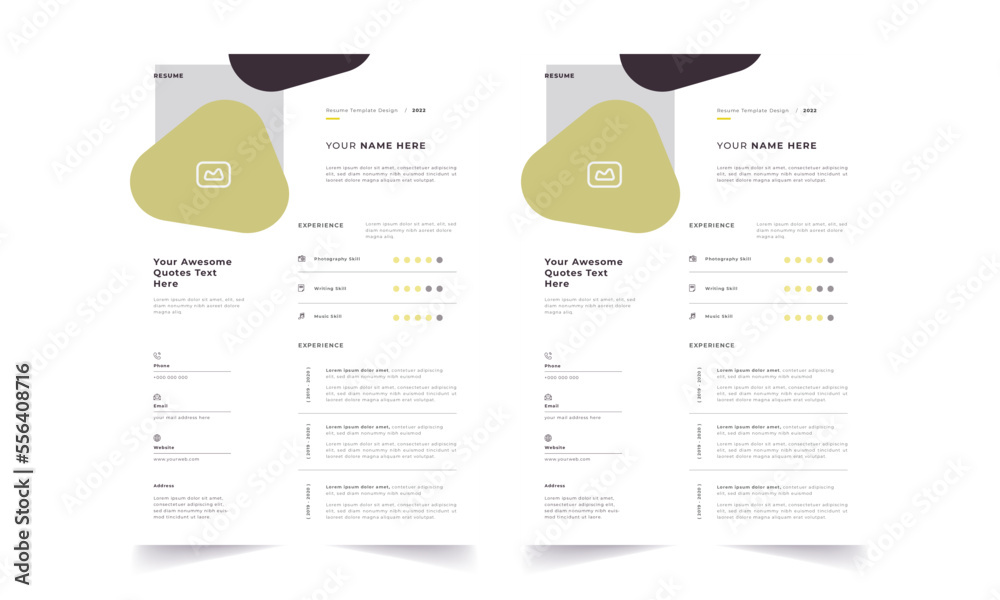 Professional Resume CV Template Layout. Beautiful CV / Resume template ...
