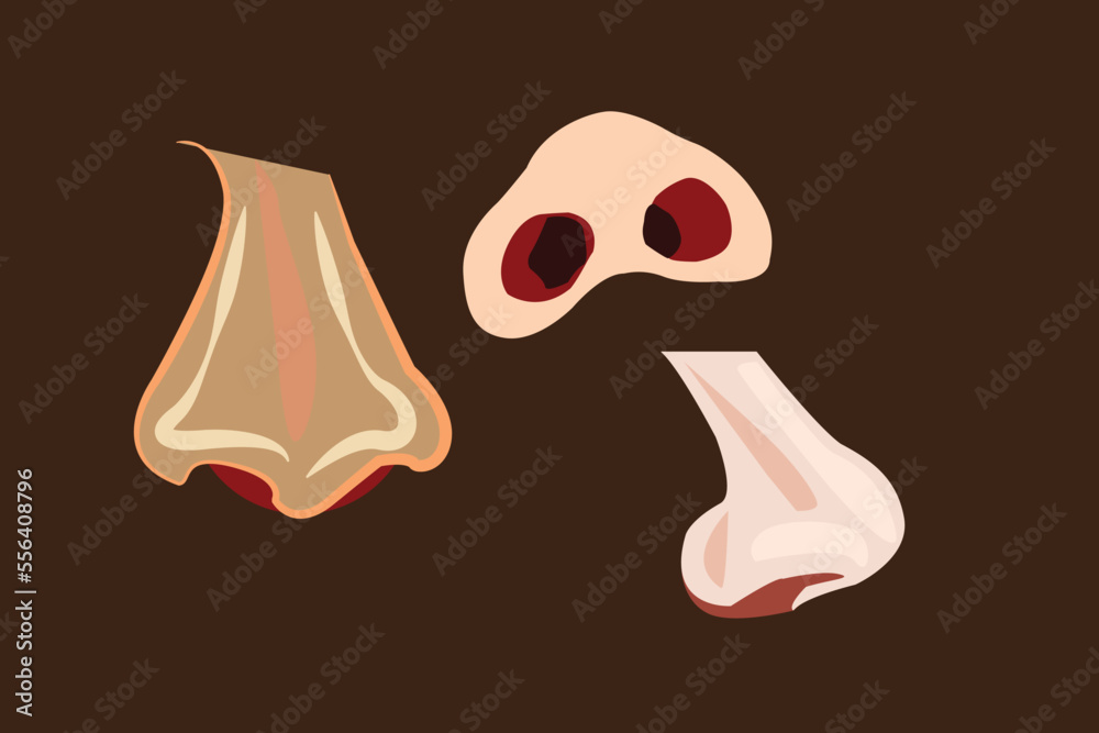 Poster Nose illustration, human body part vector graphics – Wall Art ...