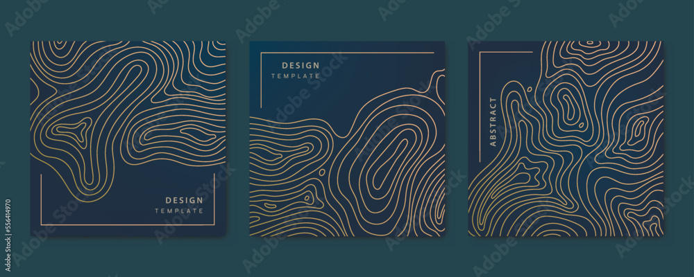 Vector set of wavy luxury line cards, golden dynamic square posts ...