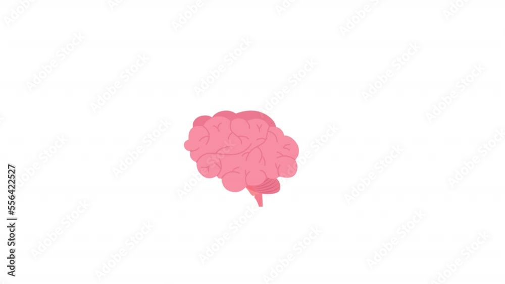 Animated brain element. Flat cartoon style HD video footage. Thinking ...
