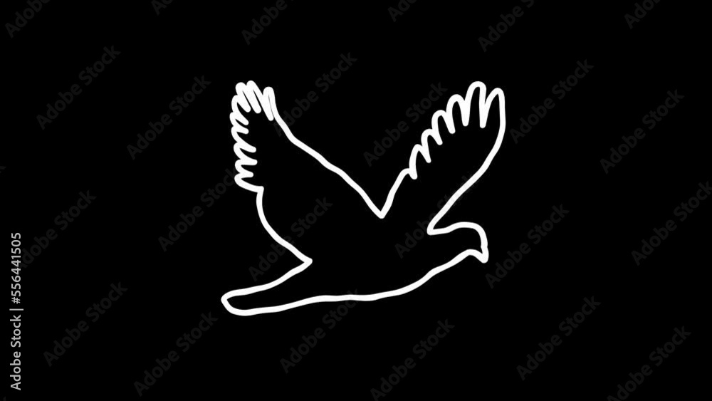 dove of peace icon. White Highlight Elements. Doodle loop animation ...