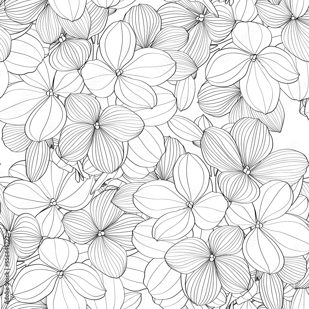 Seamless pattern of black line hydrangea flowers for fabric design ...
