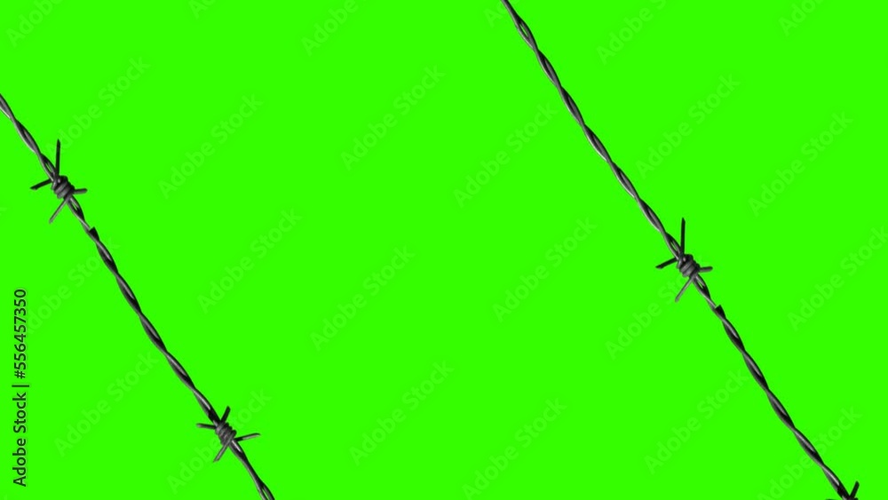 Barbed wire on Green screen. Illegal immigration concept, prison ...