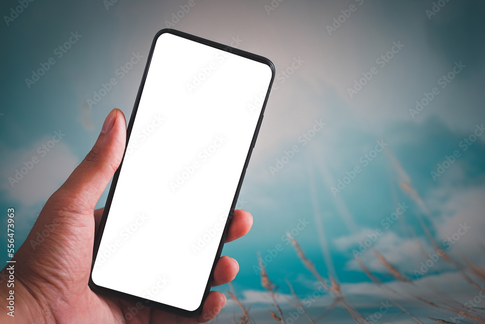 Smart phone with white screen in hand on blurred, shopping online ...
