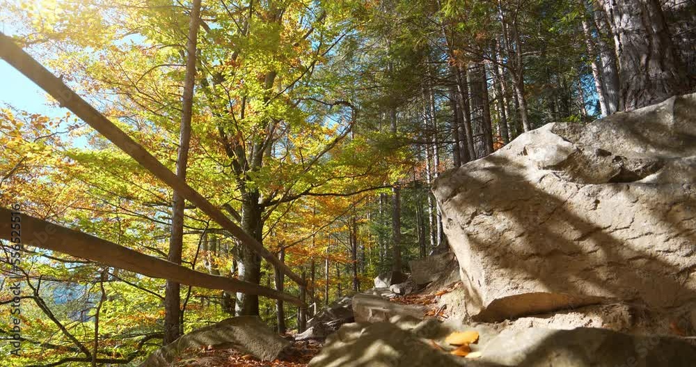 Dovbush path - route through wooded mountain slopes, rises up to rock ...