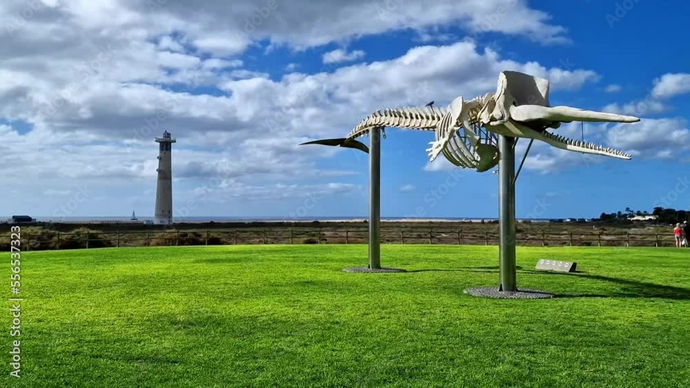 Fuerteventura island. Canaries. Morro Jable town park with statue of ...