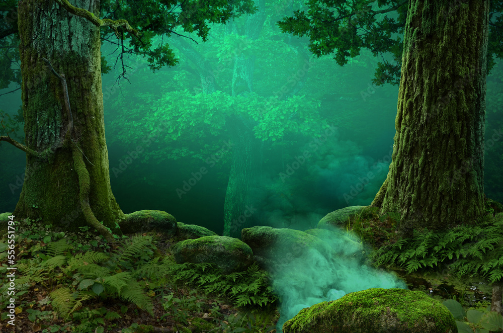 Green misty hazy fantasy forest. Ancient pagan woods, old mossy oak ...