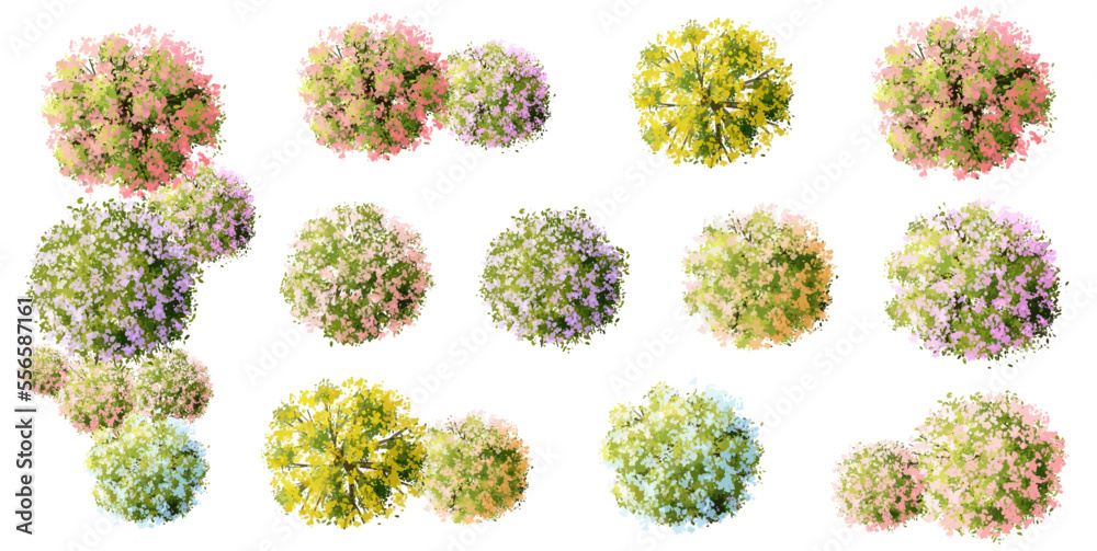Vector watercolor of blooming tree top view isolated on white ...