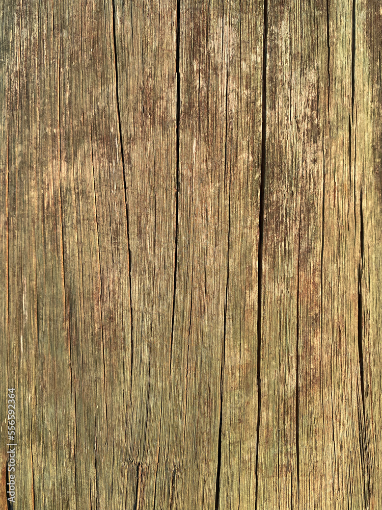 Old treated timber wood texture with cracks. interior and exterior tile ...