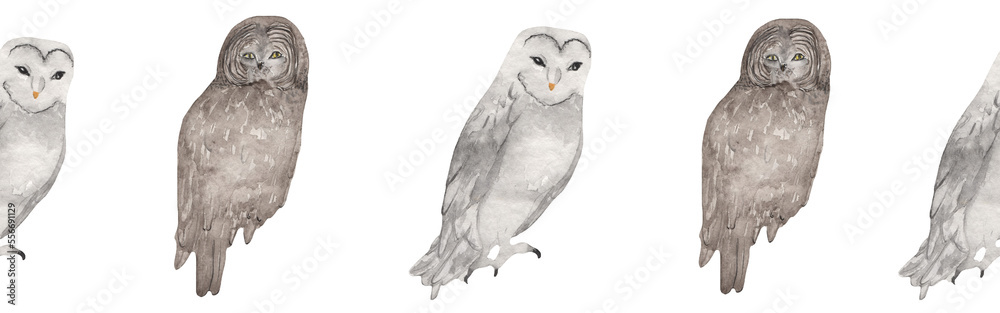 Watercolor illustration banner with the owl. Hand-painted watercolor ...