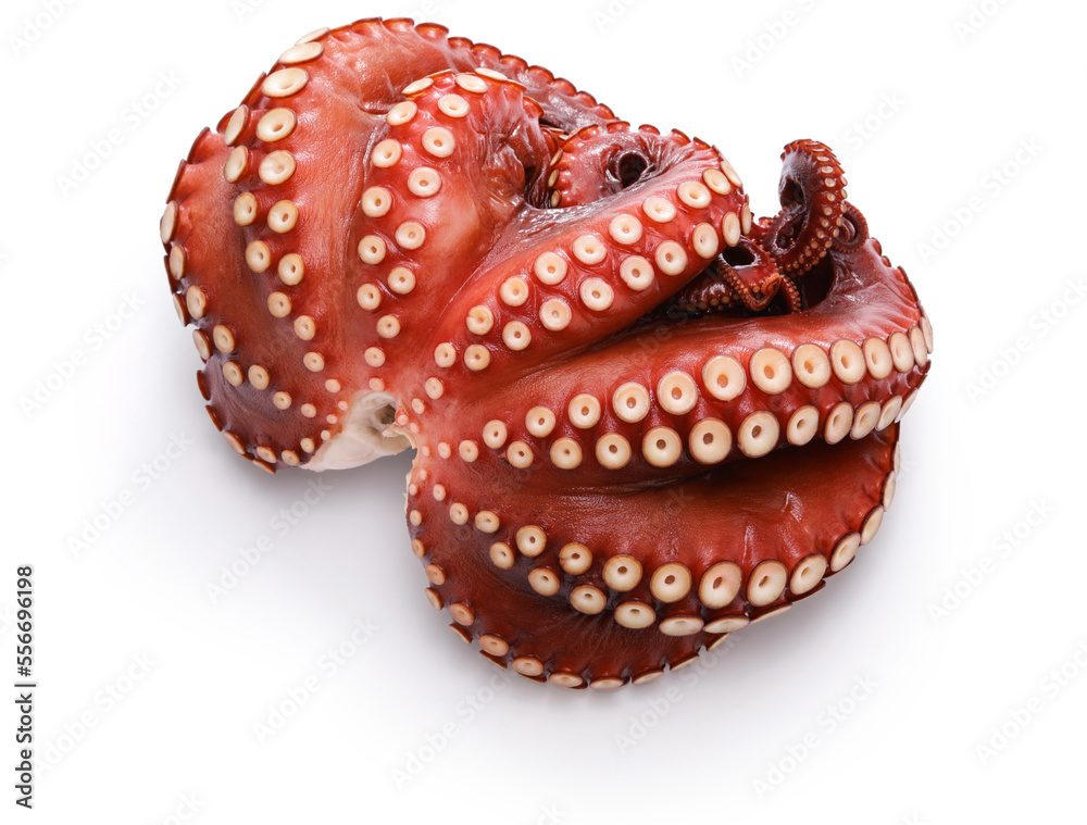 Boiled Octopus