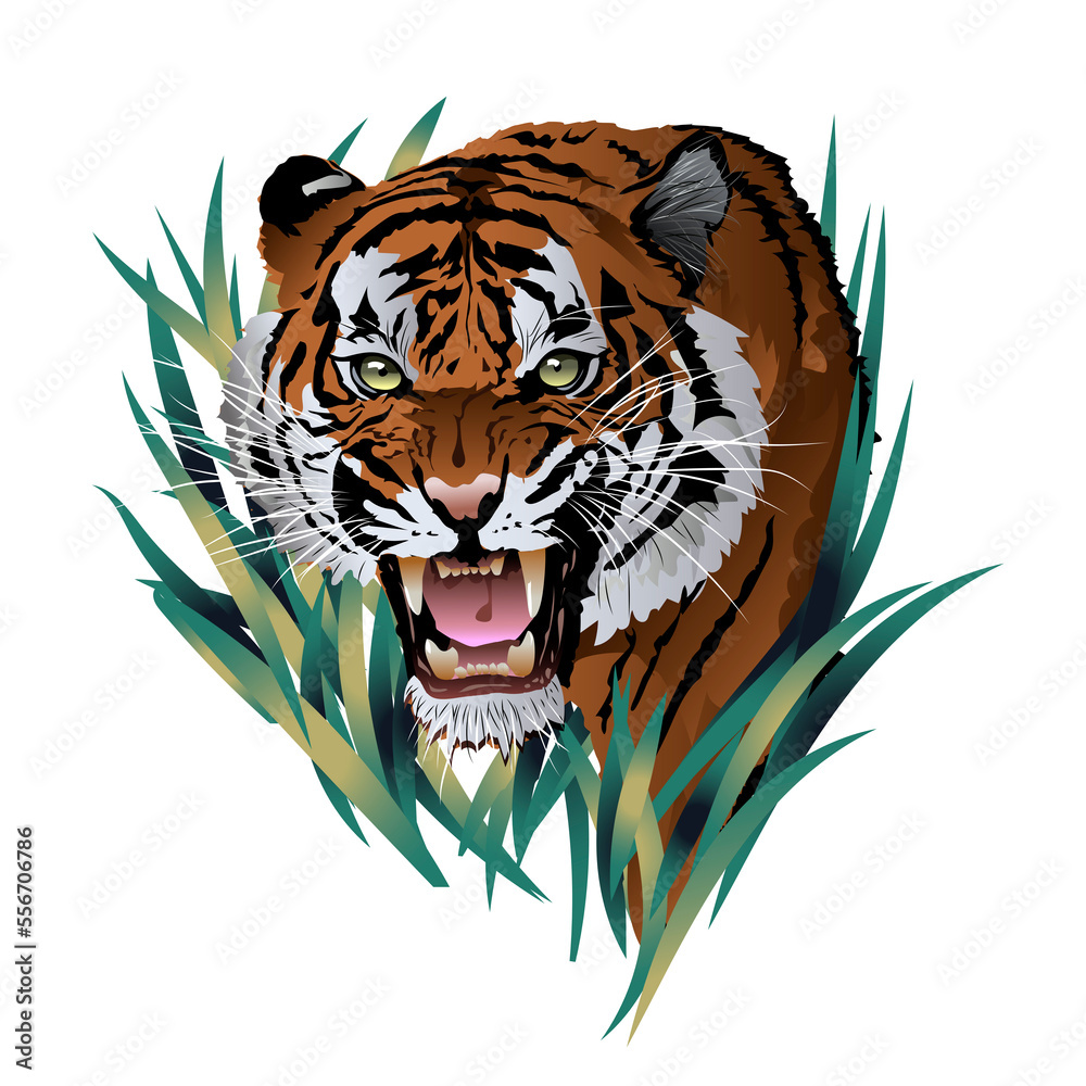 tiger head vector. Angry tiger face. The grin of a tiger. Detailed ...