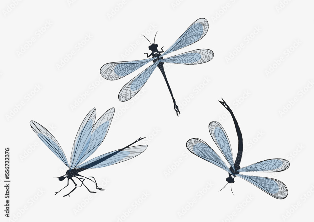 Vector fireflies, Vector illustration of textured fireflies ...