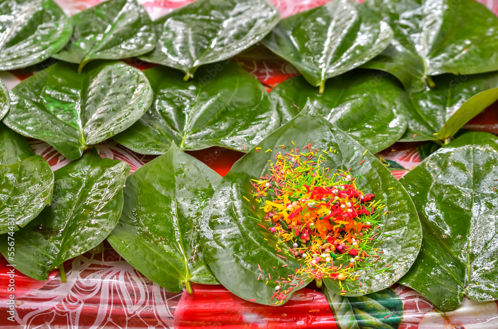 Peepal tree leaves displayed for religious offerings, Panchalingeshwar ...