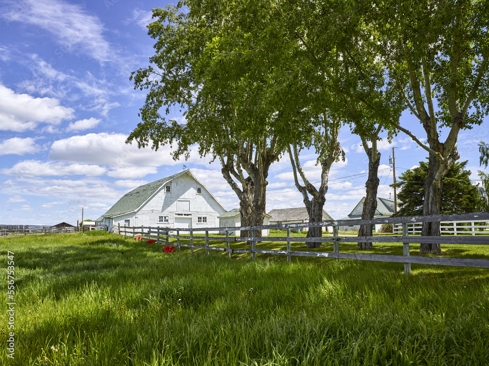 Foto de Old Banff Road Farm with a grassy field and a white barn with a ...