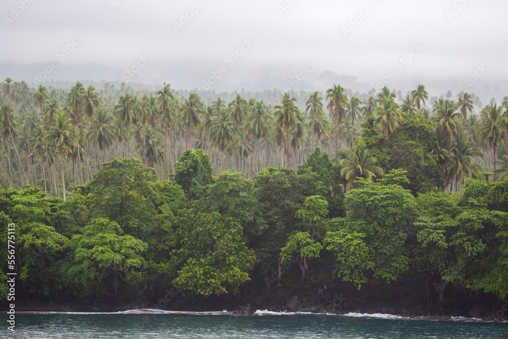 Islanders on the rocky shore of tropical trees with cocoa plantation on ...