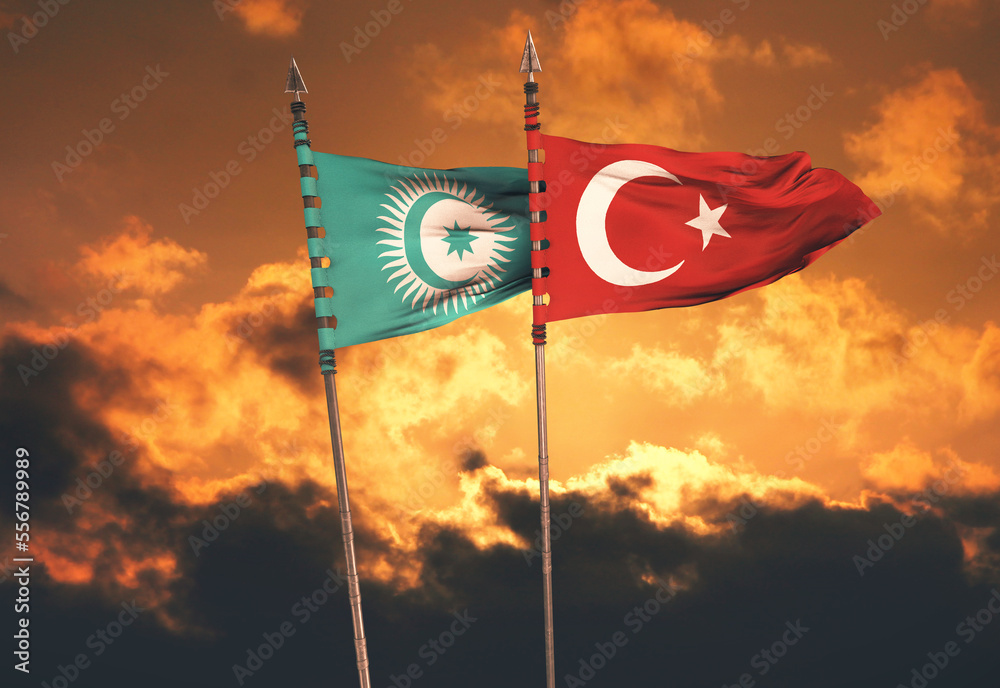 Organization of Turkish States and Flag of the Turkic Council ...